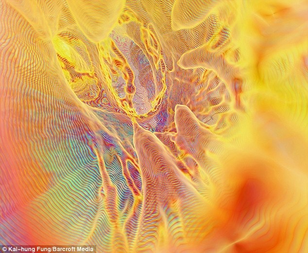 CT Scan Art from human body parts | Amusing Planet